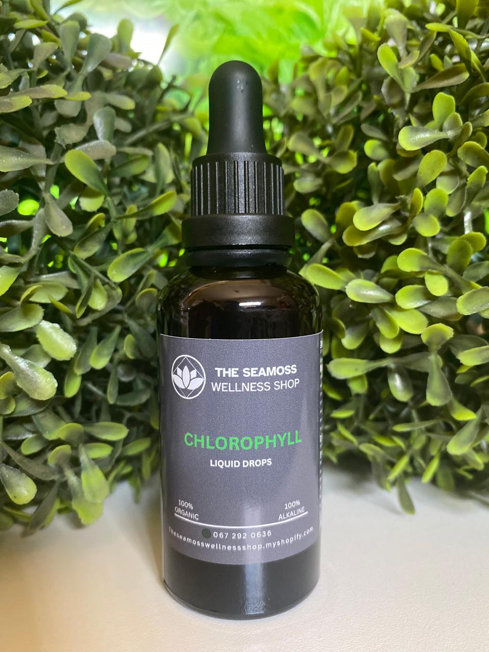 CHLOROPHYLL LIQUID DROPS – The Seamoss Wellness Shop