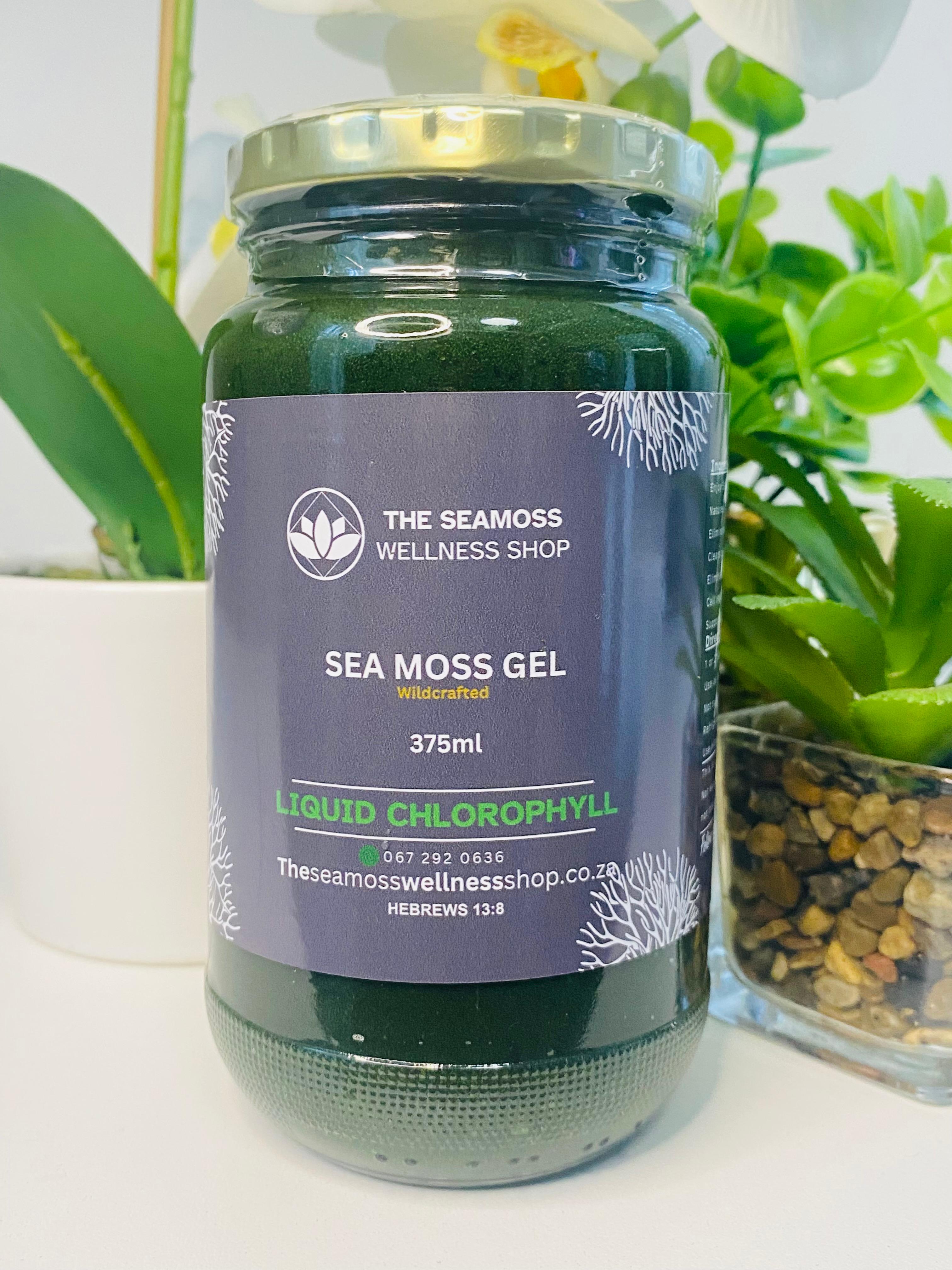 SEA MOSS GEL LIQUID CHLOROPHYLL – The Seamoss Wellness Shop